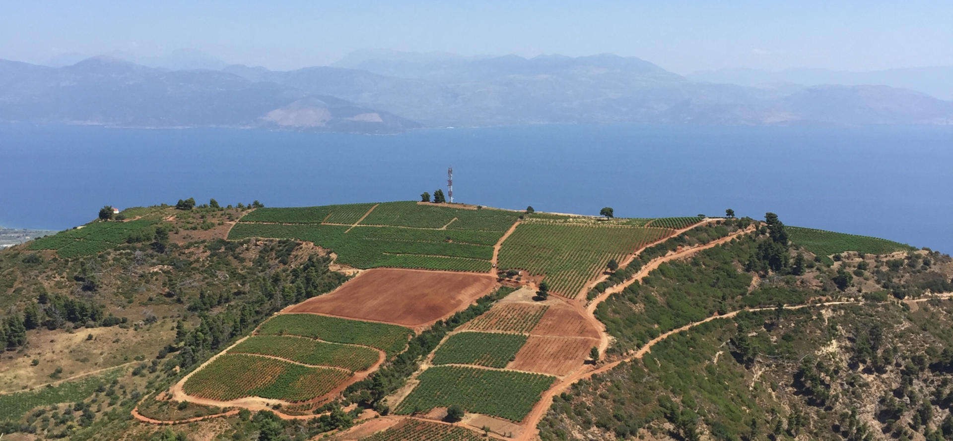 Οινοτουρισμός στις Πλαγιές Αιγιαλείας και την Αχαιών Οινοποιητική